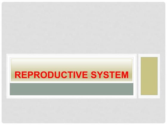 Anesthesia CPT Coding 2017 | PPTX | Pharmaceutical Drugs | Medical Health