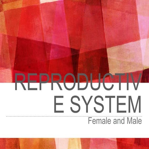 Anatomy & Physiology Of The Reproductive System | PPT
