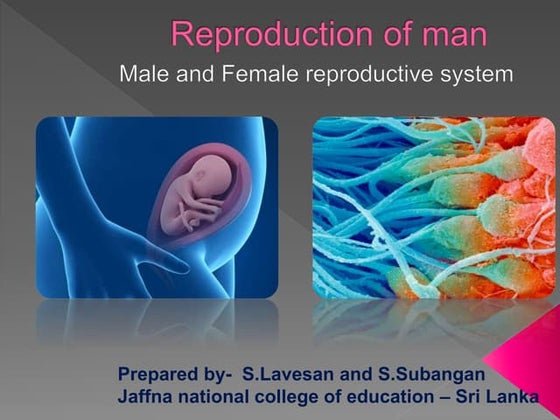 Powerpoint human reproduction | PPT