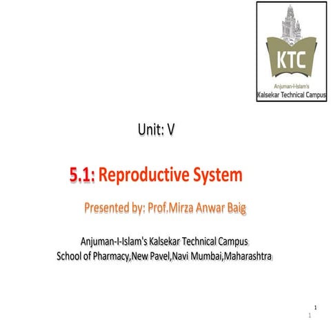 Male & female reproductive system | PPTX