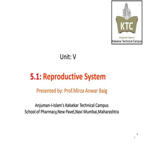 Reproductive system | PDF