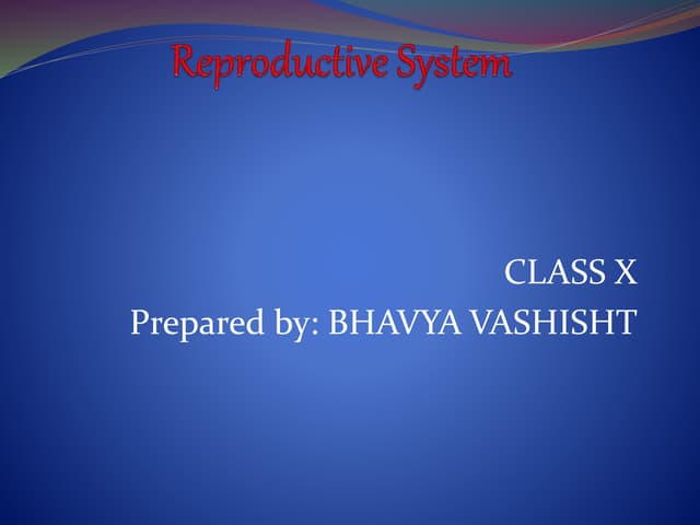 Female reproductive system presentation | PPT