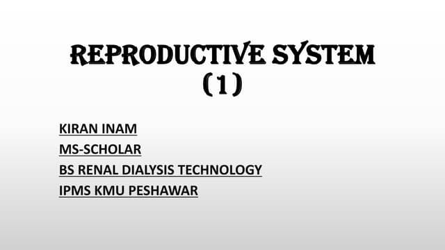 Reproductive System Lecture 1 Pdf Infertility Reproductive Health