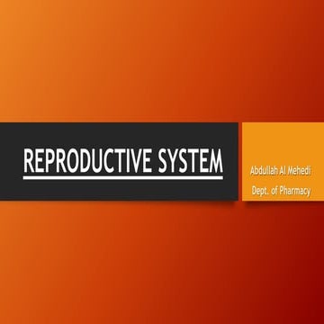 Reproductive System.pptx