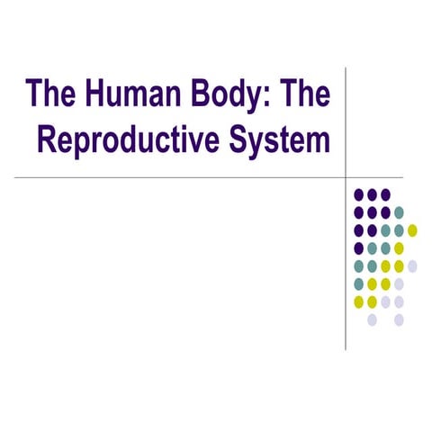 Reproductive System.ppt