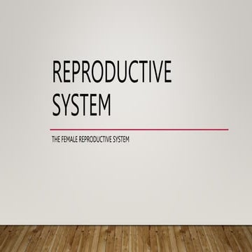 Reproductive system.pptx
