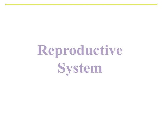 Grade 10 Bio Male reproductive system | PPTX | Infertility ...