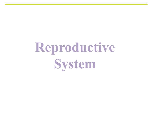 Grade 10 Bio Male reproductive system | PPTX