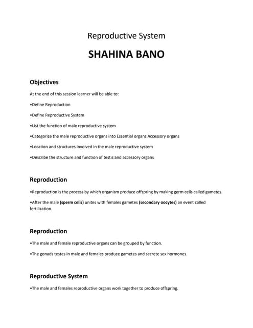 Male Reproductive System Ppt 1103