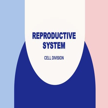 Reproductive System Pptx