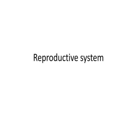 Reproductive system.pptx for nursing students | PPTX