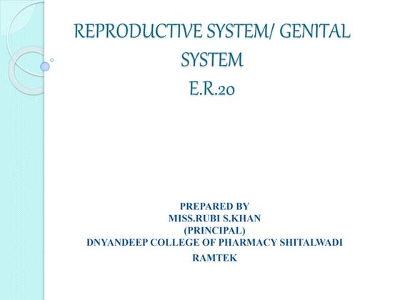 Male reproductive system | PPT