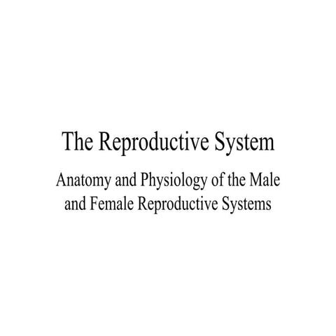 Reproductive System anatomy and phys.ppt