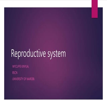 Reproductive system. TP.pptx of both male and female | PPT