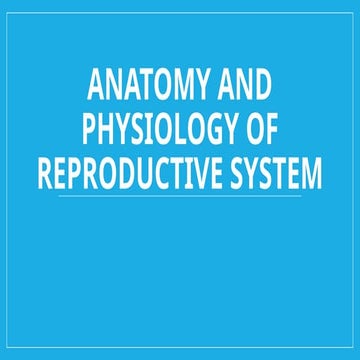 Anatomy and physiology of Reproductive system.pptx