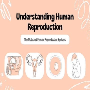 Human Reproductive System for grade 7 science | PDF