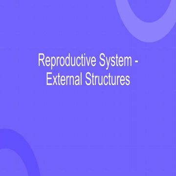 Reproductive System | PPT