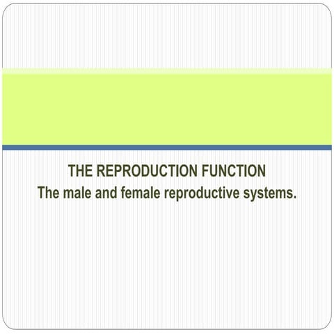 3ESO. Reproductive system. | PPT