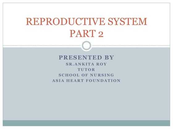 Supports of Uterus | PPT