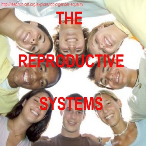 Reproductive system 6º grade | PPT