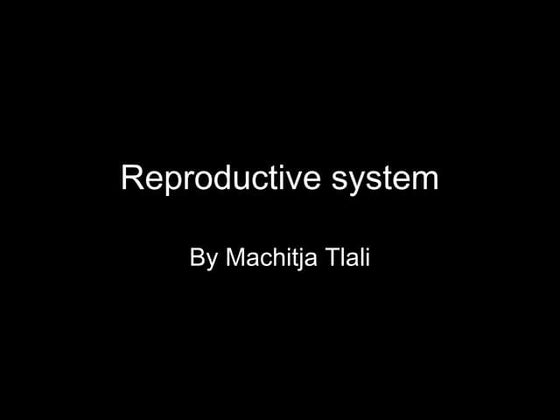 Reproductive system 6º grade | PPT