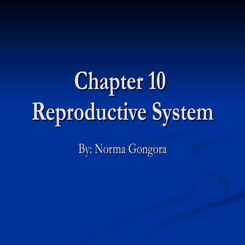 Reproductive System Ch 10 | PPT