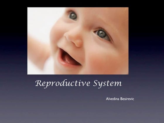 Chapter 10 | PPT | Pregnancy | Reproductive Health