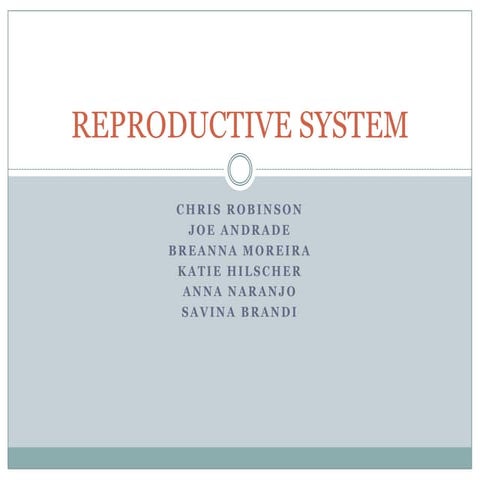 Reproductive system | PPT