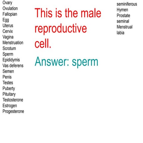 Science V Summative Test.docx