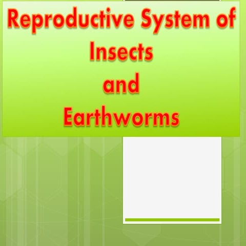 Reproductive system of eartworms and insects | PPTX