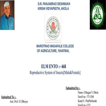 reproductive system of insects in detail.pptx