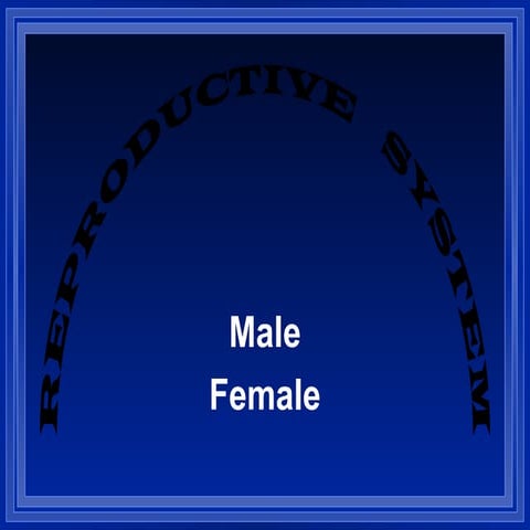 Reproductive system powerpoint | PPT