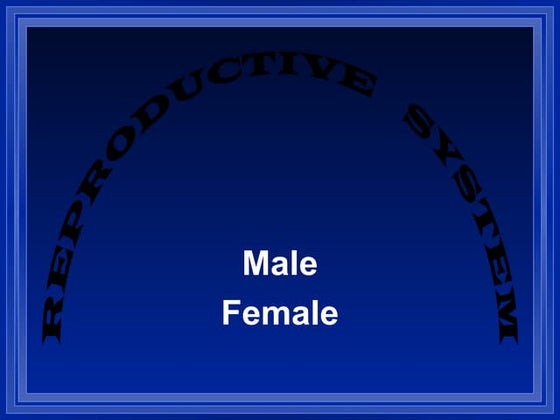 Reproductive System Pdf