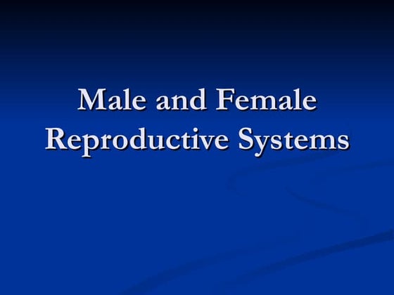 Grade 10 Bio Male reproductive system | PPTX | Infertility ...
