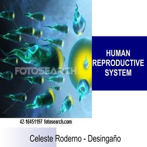 624393706-Science-10-Reproductive-System.pptx