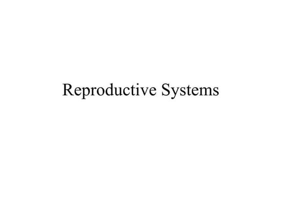 Reproductive system | PPT