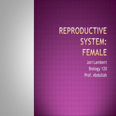 Reproductive systems | PPT