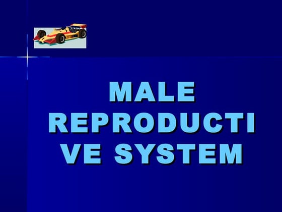 REPRODUCTIVE SYSTEM QUIZ | DOCX