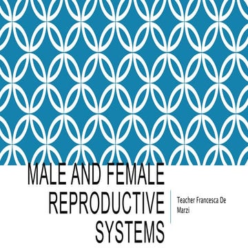 Reproductive systems | PPT