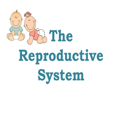 SCIENCE-DEMO2.pptx in science about Reproductive System | PPTX