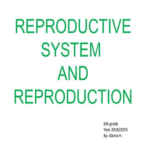 Reproductive system web | PPT