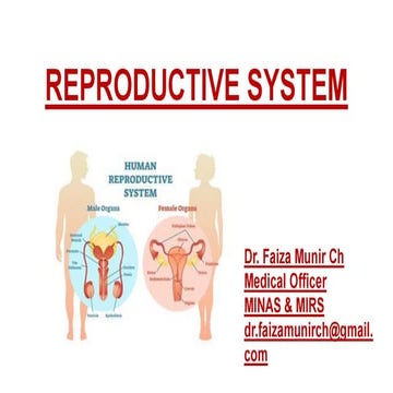 Reproductive sytem anatomy | PPT