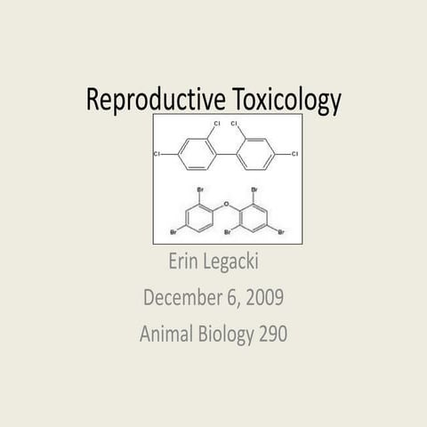 Reproductive Toxicology | PPTX