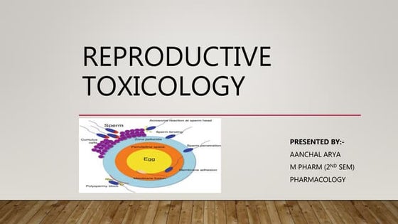 MALE REPRODUCTIVE TOXICITY STUDIES(Toxicokinetics).pptx | Reproductive ...