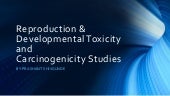 MALE REPRODUCTIVE TOXICITY STUDIES(Toxicokinetics).pptx | Reproductive ...