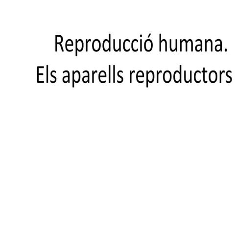Reproductor | PPT