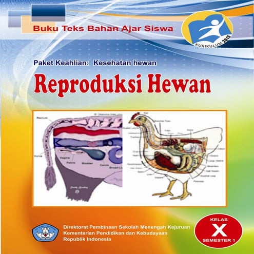 Anatomi reproduksi jantan dan betina pada sapi dan babi | PPTX