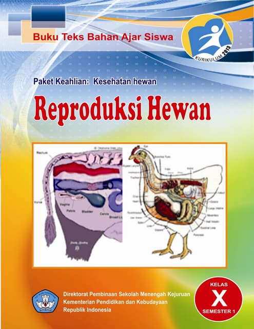 Anatomi organ reproduksi ternak jantan | DOCX