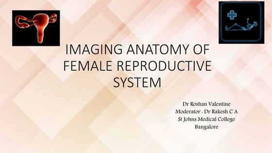 Hypertrophic elongated cervix (elongation of cervix) | PPT