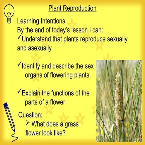 Asexual and sexual reproduction of flowering plants | PPT